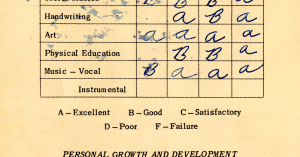 Decoding Your Academic Journey: Understanding Your Bachelor Transcript ...